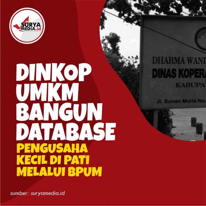 News Grafis : Dinkop UMKM Bangun Database - Suryamedia.id