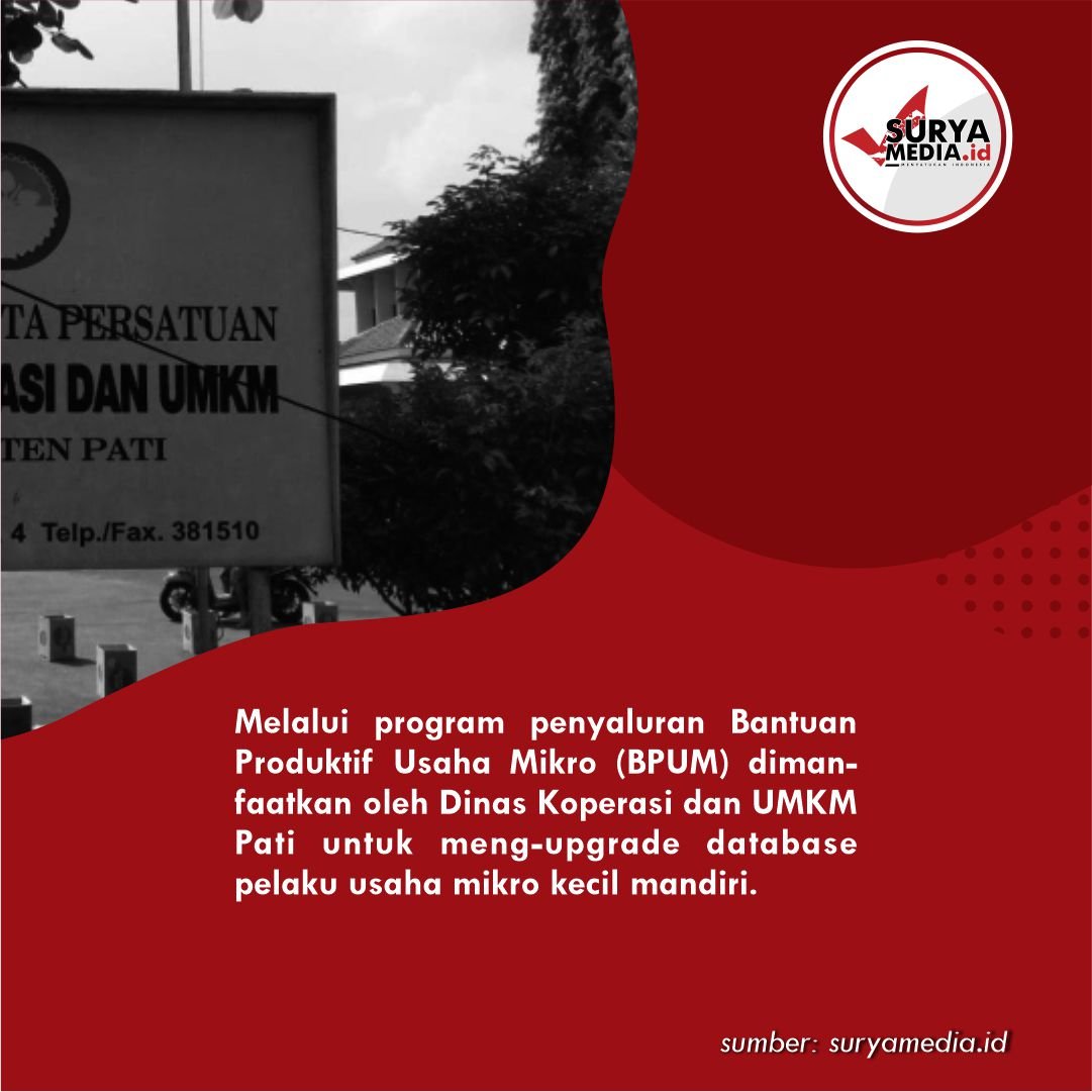 News Grafis : Dinkop UMKM Bangun Database - Suryamedia.id