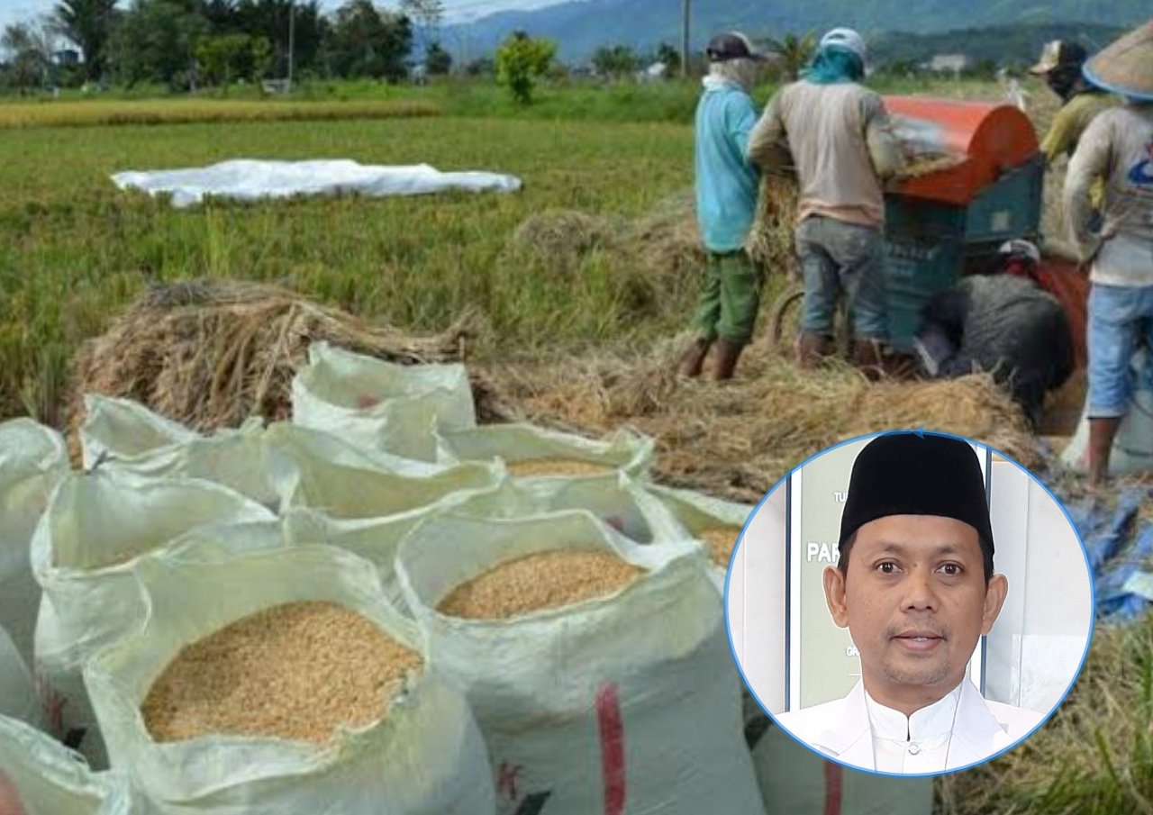 Lahan Puso Sebabkan Produksi Gabah di Pati Berkurang - Suryamedia.id