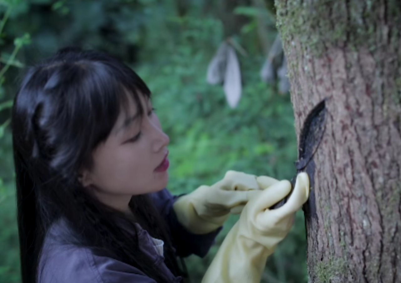 YouTuber China Li Ziqi Unggah Video Setelah 3 Tahun Hiatus Karena Kasus Hukum - Suryamedia.id