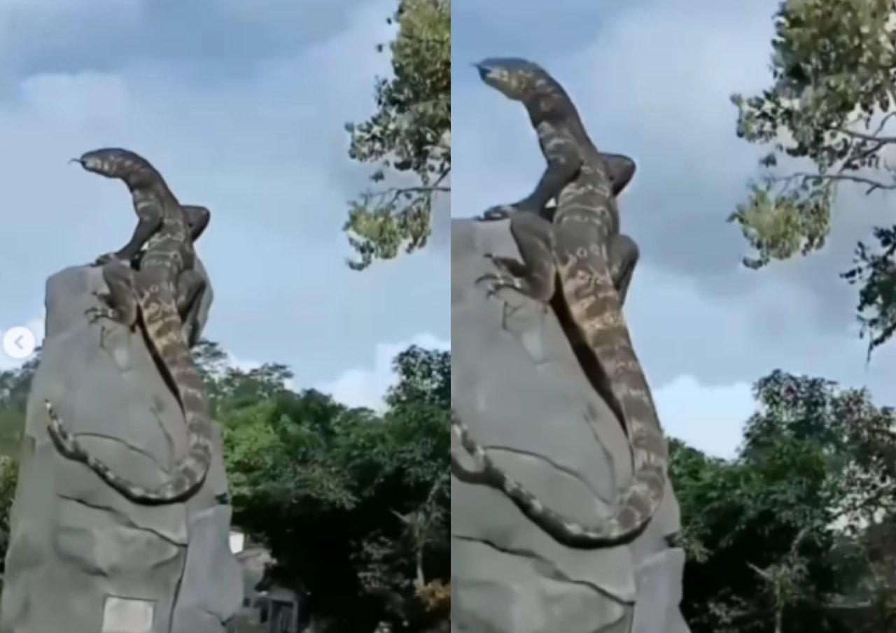 Fakta-fakta Menarik Pembuatan Tugu Biawak di Jalan Wonosobo ...